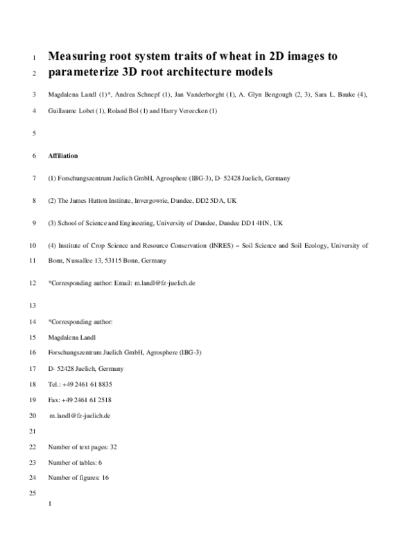 (PDF) Measuring root system traits of wheat in 2D images to ...