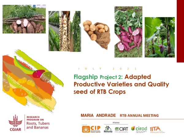 (PDF) Flagship Project 2: Adapted Productive Varieties and Quality Seed ...