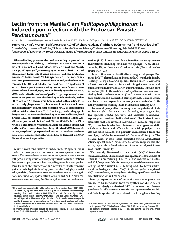 (PDF) Lectin from the Manila Clam Ruditapes philippinarum Is Induced ...