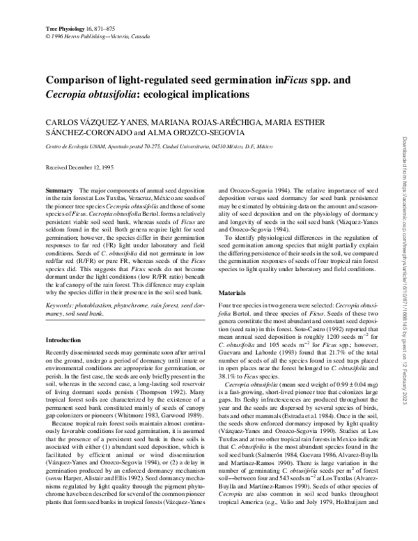 (PDF) Comparison of light-regulated seed germination in Ficus spp. and ...