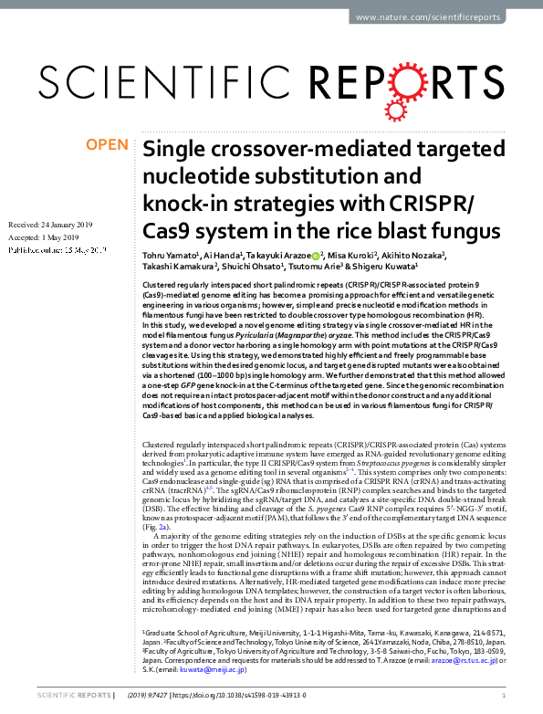 Pdf Single Crossover Mediated Targeted Nucleotide Substitution And