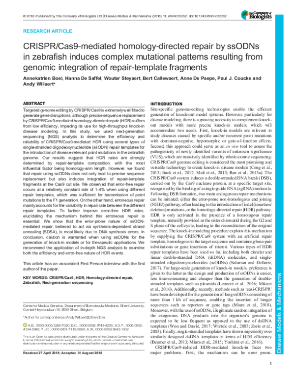(PDF) CRISPR/Cas9-mediated homology-directed repair by ssODNs in ...