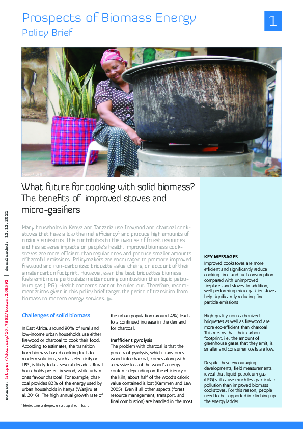 (PDF) What future for cooking with solid biomass? The benefits of ...