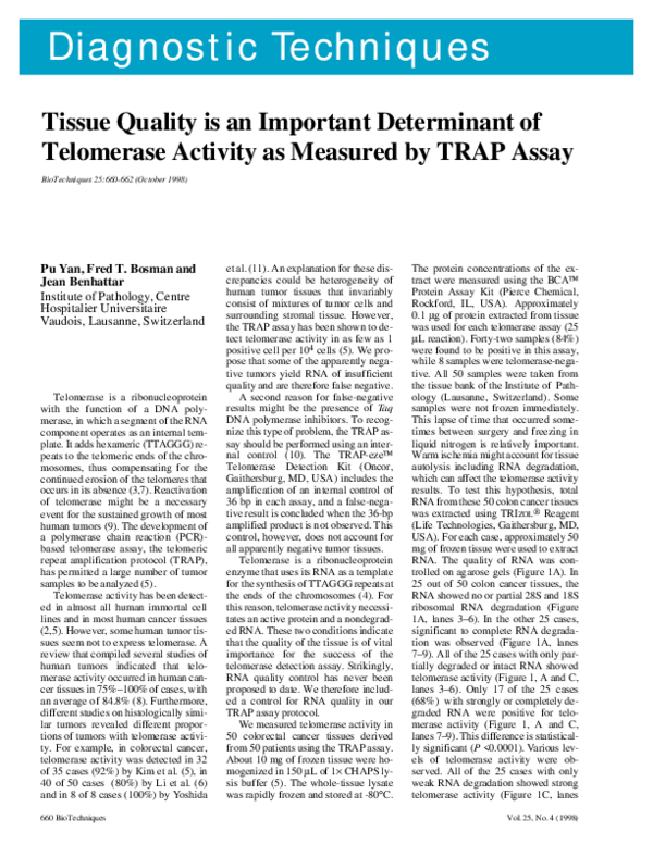 (PDF) Tissue Quality is an Important Determinant of Telomerase Activity ...