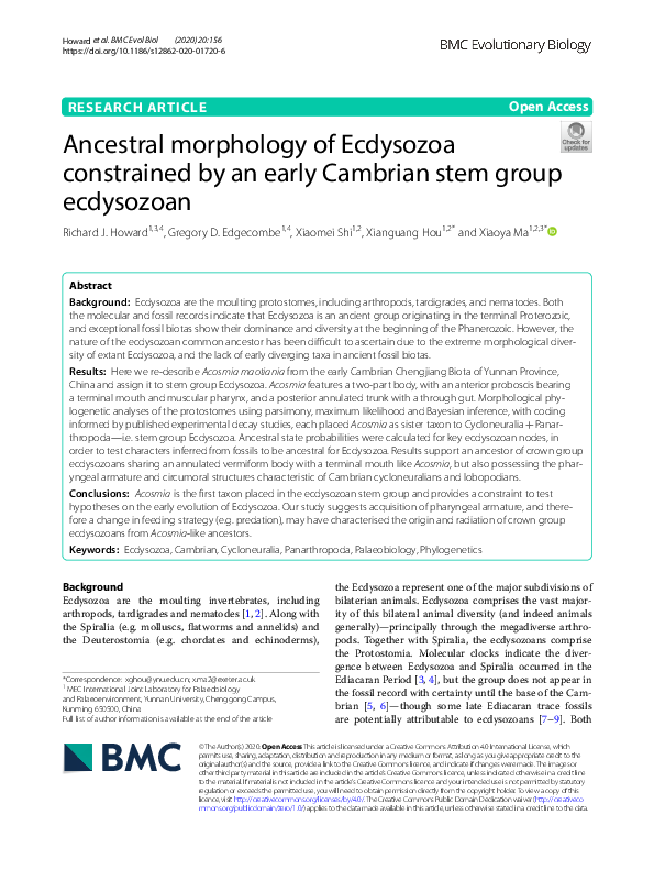 (PDF) Ancestral morphology of Ecdysozoa constrained by an early ...