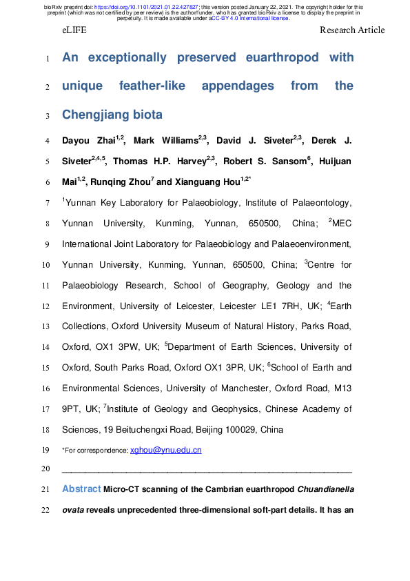 (PDF) An exceptionally preserved euarthropod with unique feather-like ...