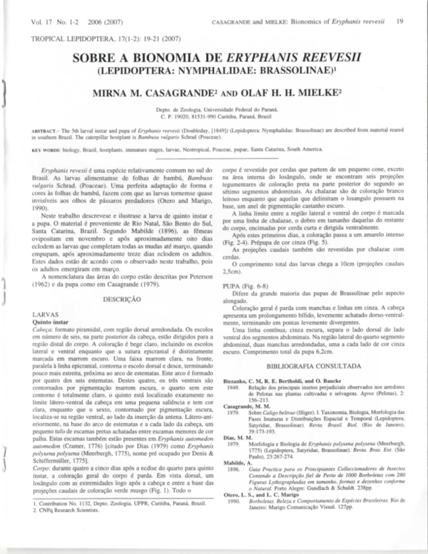 (PDF) Sobre a bionomia de Eryphanis reevesii (Lepidoptera: Nymphalidae ...