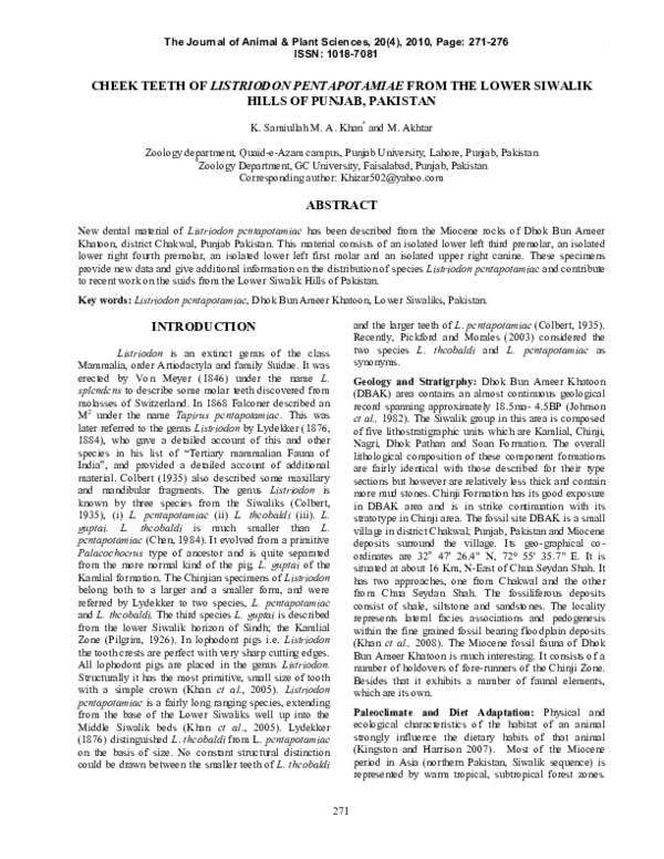(PDF) Cheek teeth of Listriodon pentapotamiae from the Lower Siwalik ...