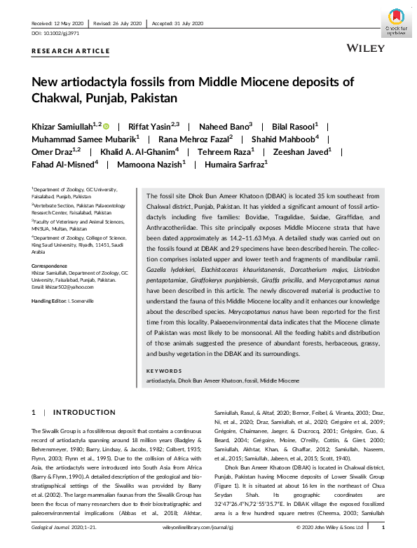 (PDF) New artiodactyla fossils from Middle Miocene deposits of Chakwal ...