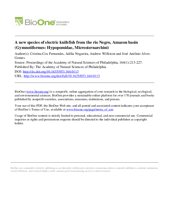 (PDF) A new species of electric knifefish from the rio Negro, Amazon ...