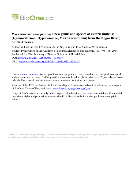 (PDF) Procerusternarchus pixuna, a new genus and species of electric ...