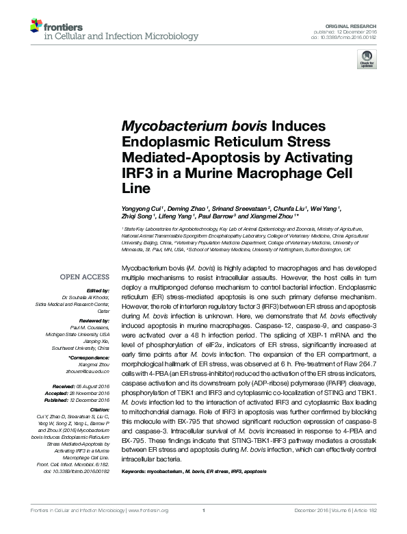 (PDF) Mycobacterium bovis Induces Endoplasmic Reticulum Stress Mediated ...