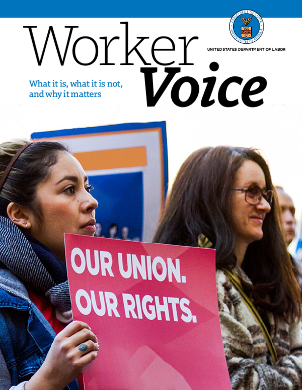 (PDF) Worker Voice: What it is, what it is not, and why it matters