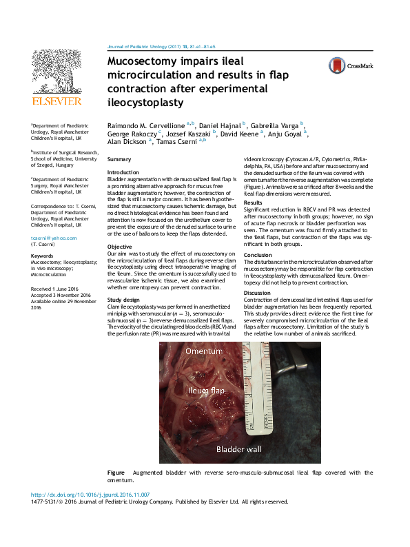 (PDF) Mucosectomy impairs ileal microcirculation and results in flap ...