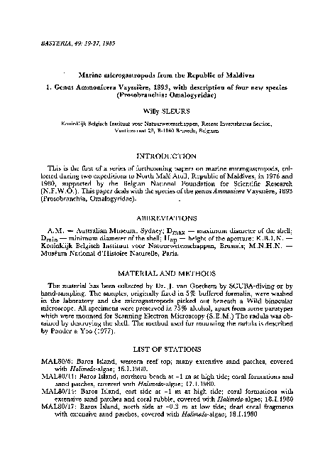 (PDF) Marine microgastropods from the Republic of Maldives. I: Genus ...
