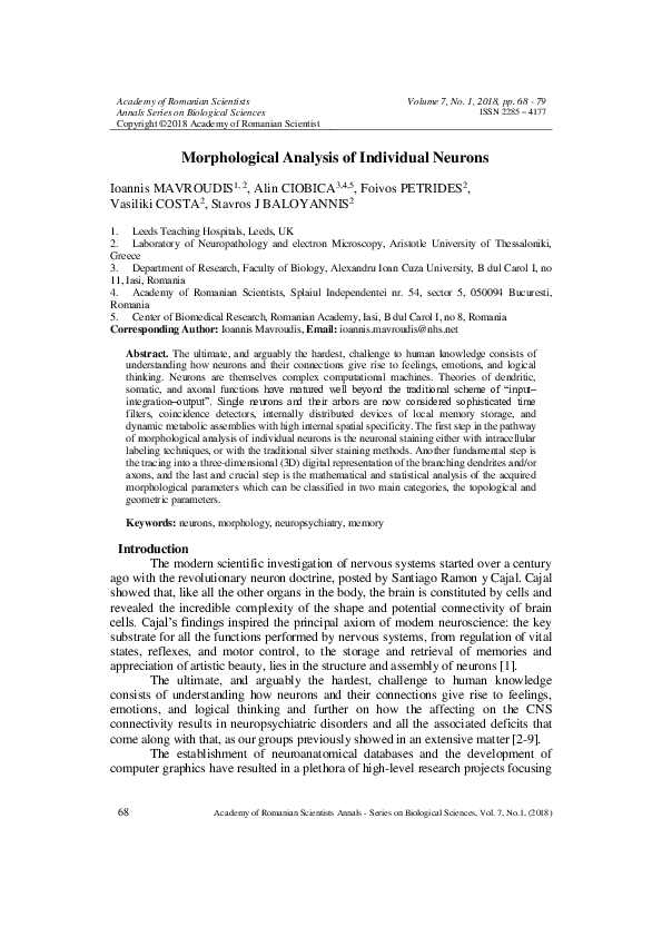 (PDF) Morphological Analysis of Individual Neurons
