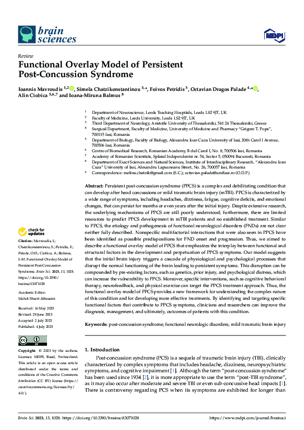 (PDF) Functional Overlay Model of Persistent Post-Concussion Syndrome
