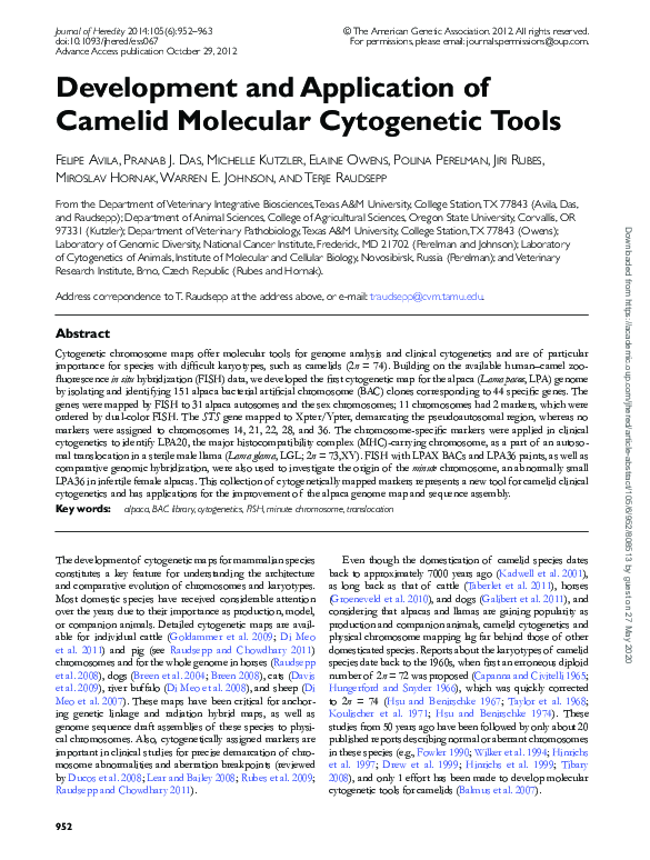(PDF) Development and Application of Camelid Molecular Cytogenetic Tools