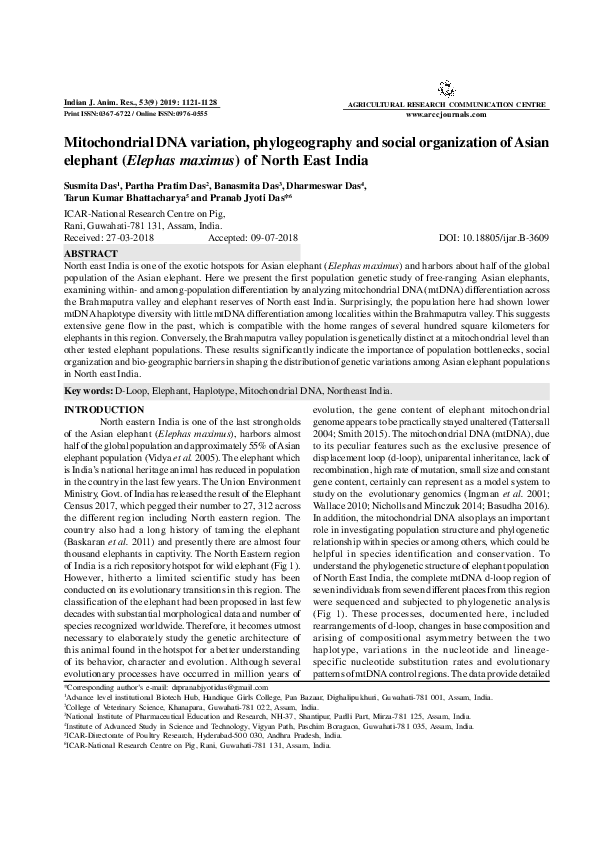 (PDF) Mitochondrial DNA variation, phylogeography and social organization of Asian elephant ...