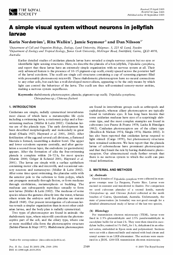 (PDF) A simple visual system without neurons in jellyfish larvae