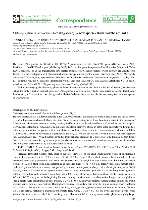 (PDF) Chlorophytum assamicum (Asparagaceae), a new species from ...