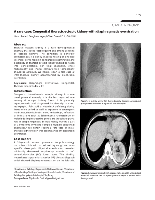 (PDF) A rare case: Congenital thoracic ectopic kidney with ...