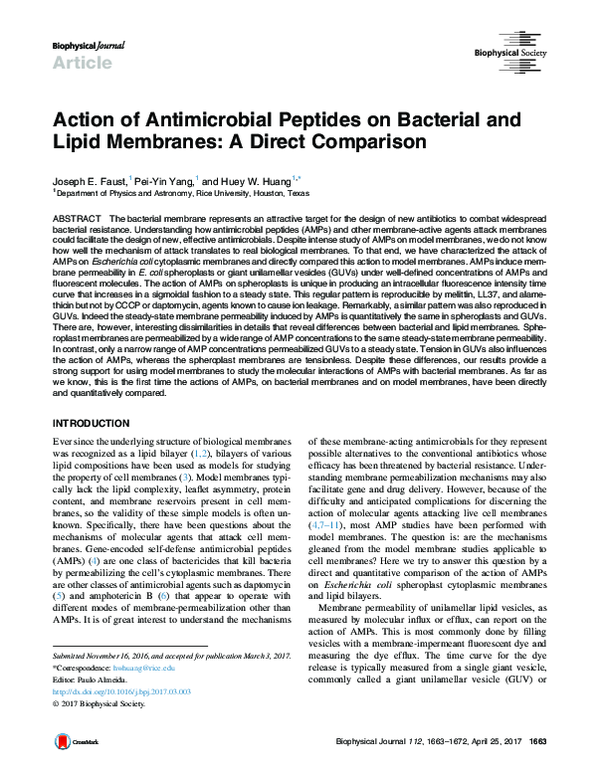 (PDF) Action of Antimicrobial Peptides on Bacterial and Lipid Membranes ...