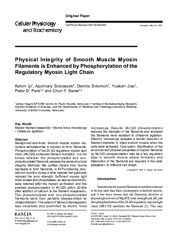 (PDF) Physical Integrity of Smooth Muscle Myosin Filaments is Enhanced ...