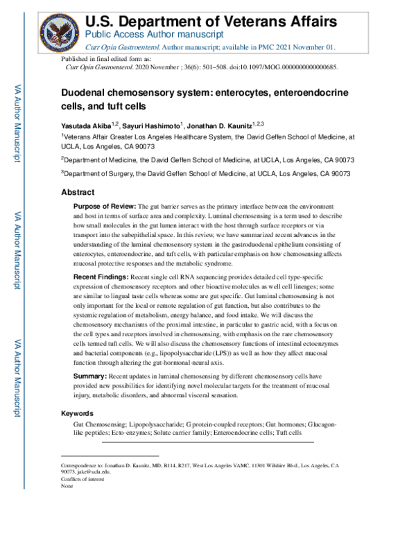 (PDF) Duodenal chemosensory system: enterocytes, enteroendocrine cells ...