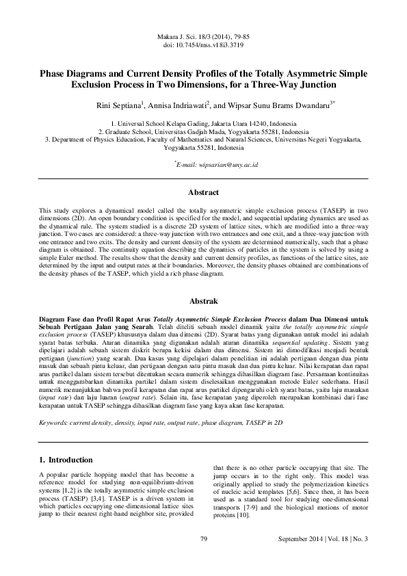 (PDF) Phase Diagrams and Current Density Profiles of the Totally ...