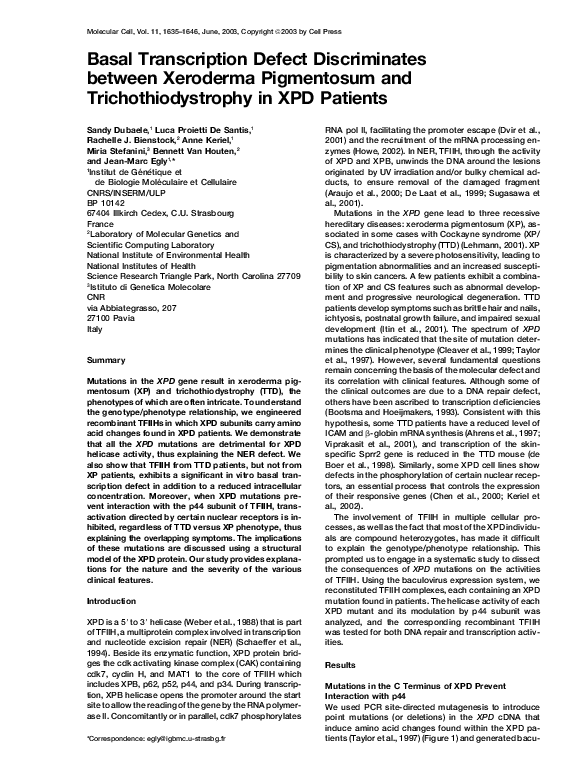 (PDF) Basal Transcription Defect Discriminates between Xeroderma ...