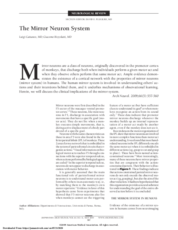 (PDF) The Mirror Neuron System