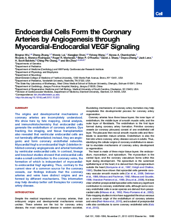 (PDF) Endocardial Cells Form the Coronary Arteries by Angiogenesis ...