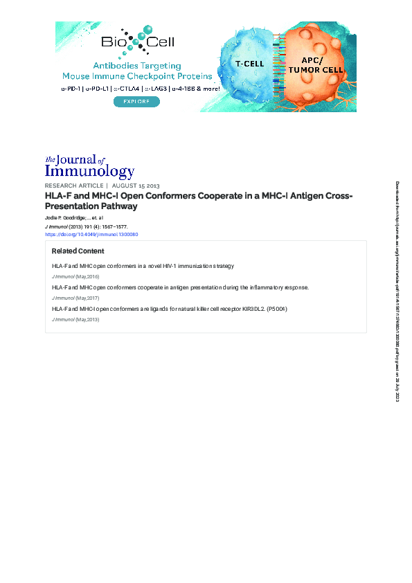 (PDF) HLA-F and MHC-I Open Conformers Cooperate in a MHC-I Antigen ...