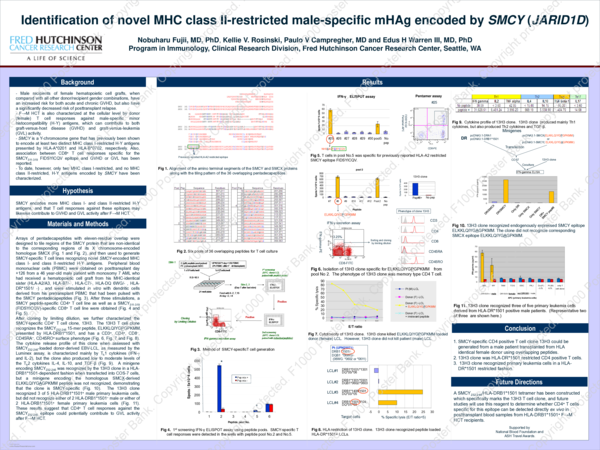 (PDF) Identification of Novel MHC Class II-Restricted Male-Specific ...