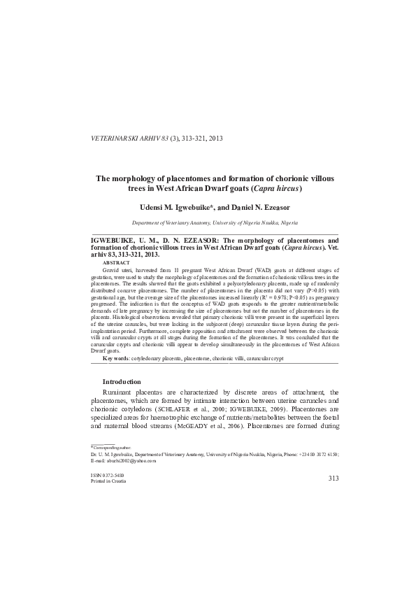(PDF) The morphology of placentomes and formation of chorionic villous ...