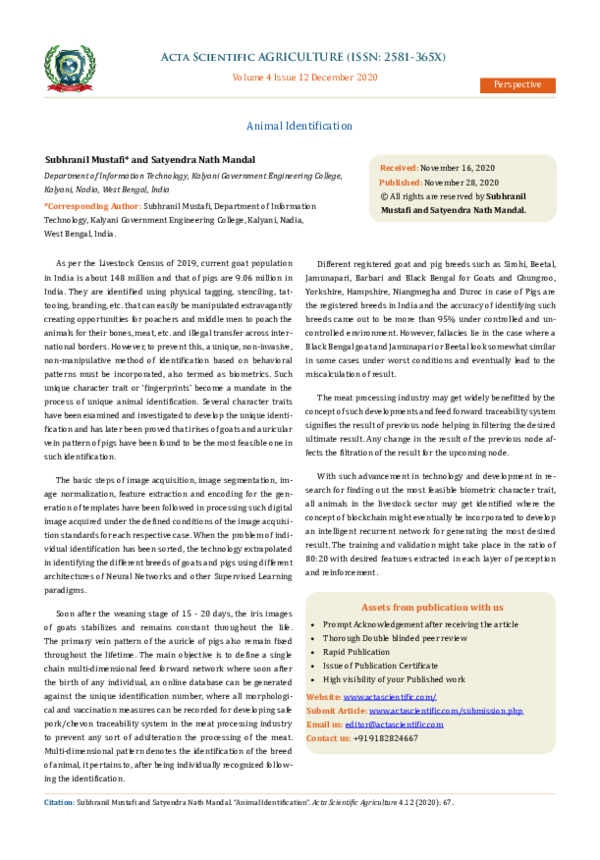 (PDF) Animal Identification