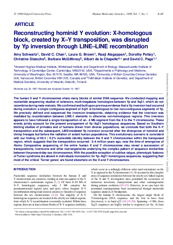 (PDF) Reconstructing hominid Y evolution: X-homologous block, created by X-Y transposition, was ...