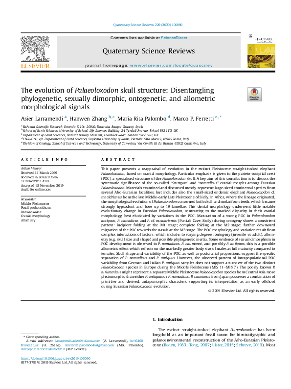 (PDF) The evolution of Palaeoloxodon skull structure: Disentangling ...