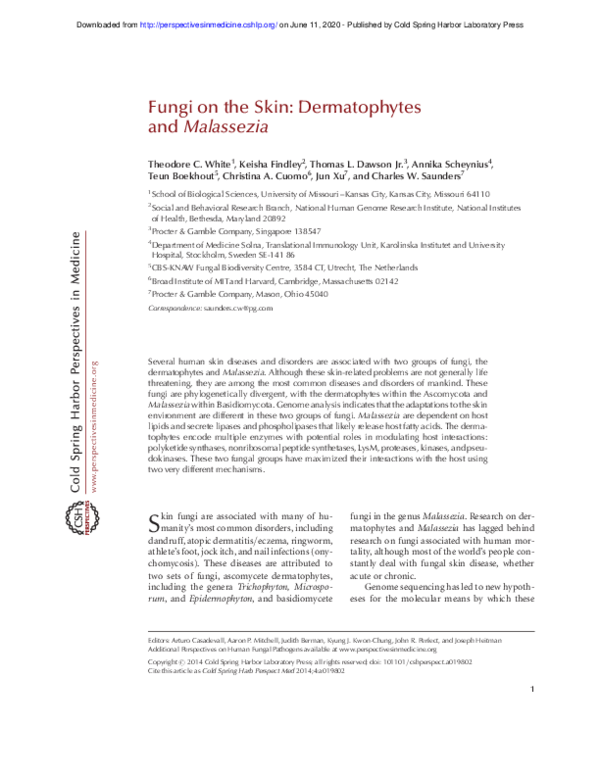 (PDF) Fungi on the skin: dermatophytes and Malassezia