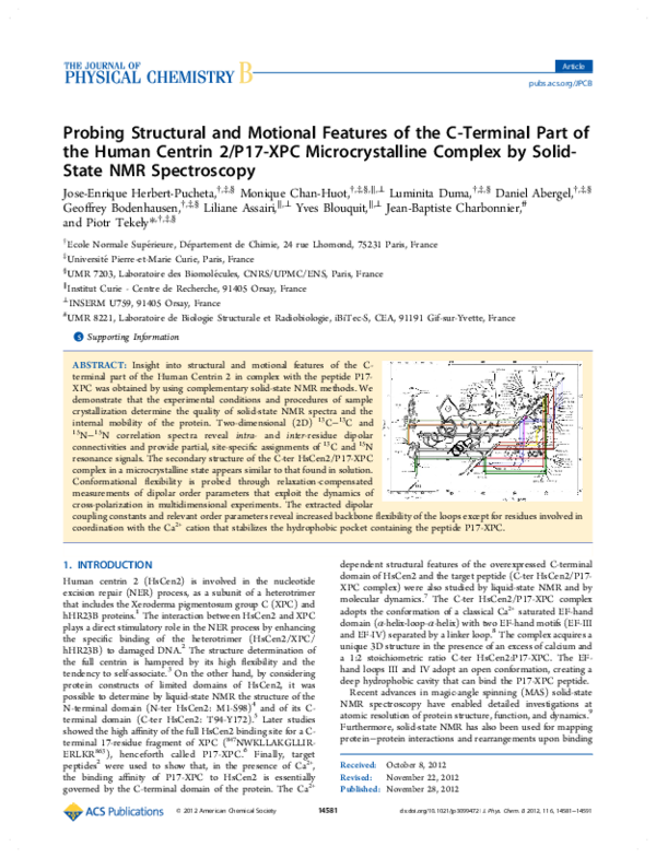 (PDF) Probing Structural and Motional Features of the C-Terminal Part ...
