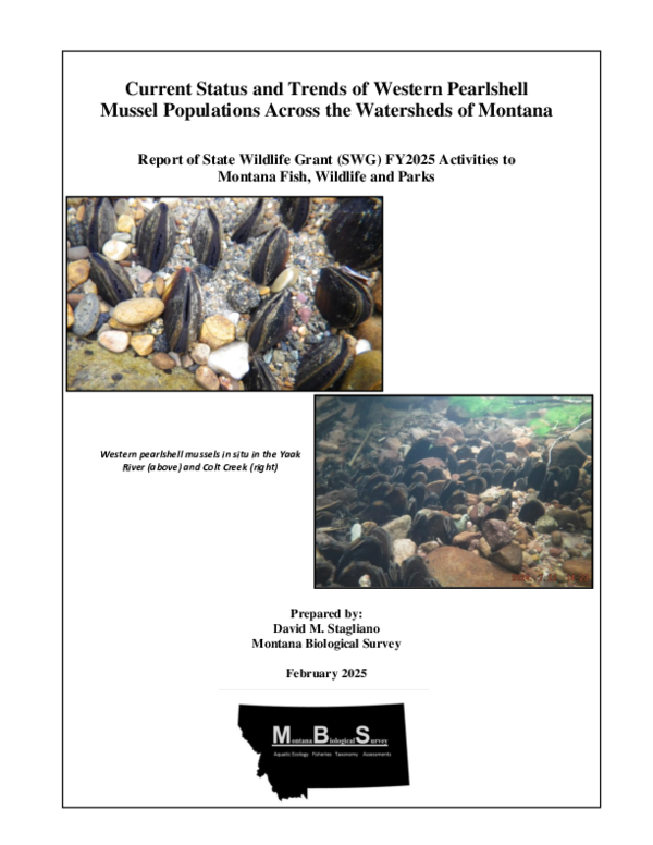 (PDF) Current Status and Trends of Western Pearlshell Mussel ...