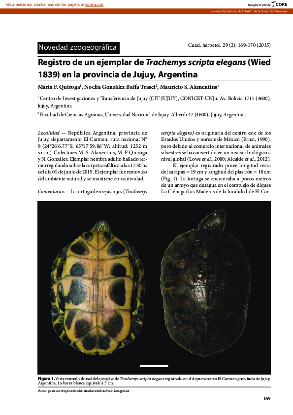 (PDF) Registro de un ejemplar de Trachemys scripta elegans (Wied 1839) en la provincia de Jujuy ...