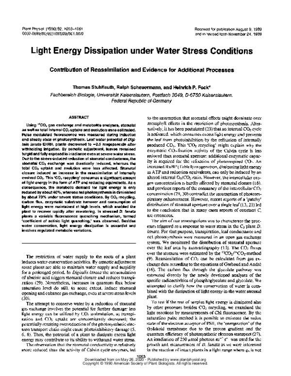 (PDF) Light Energy Dissipation under Water Stress Conditions