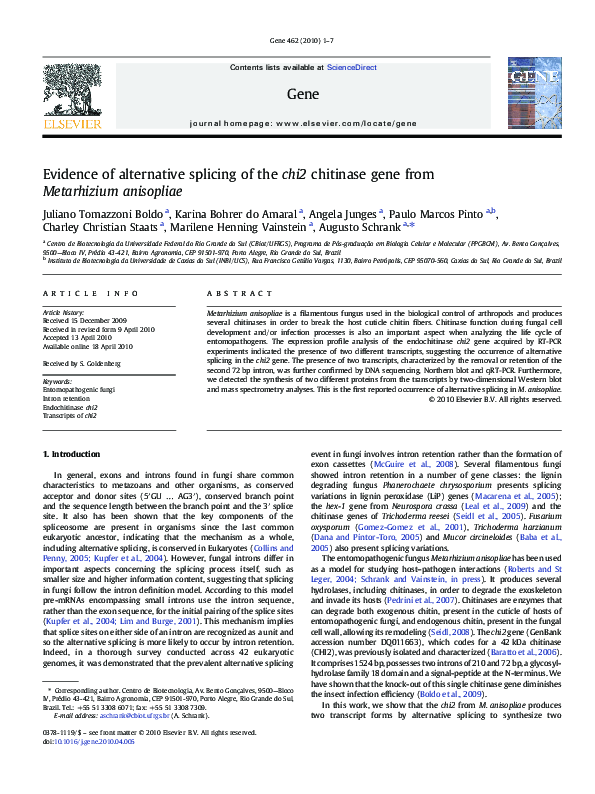 (PDF) Evidence of alternative splicing of the chi2 chitinase gene from Metarhizium anisopliae