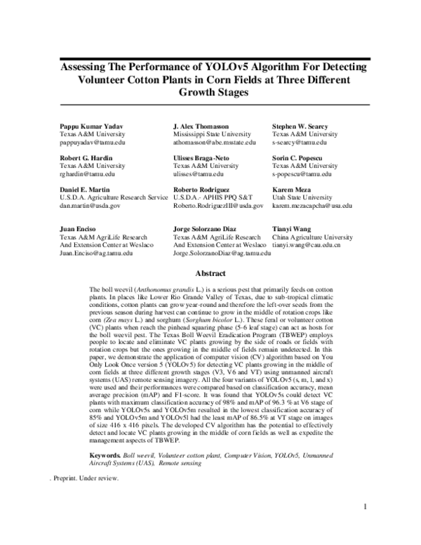 (PDF) Assessing the Performance of Yolov5 Algorithm for Detecting Volunteer Cotton Plants in ...