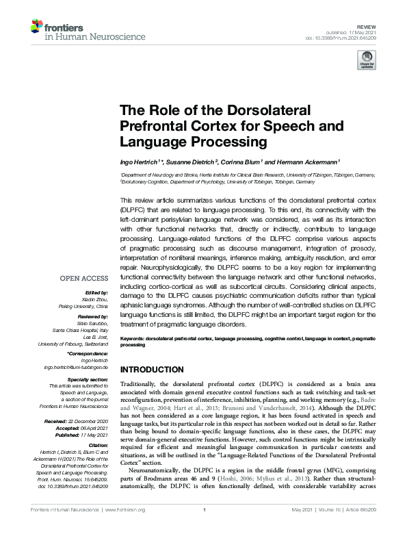 (PDF) The Role of the Dorsolateral Prefrontal Cortex for Speech and ...