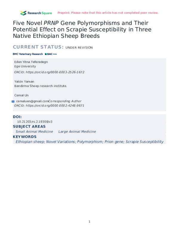 (PDF) Five Novel PRNP Gene Polymorphisms and Their Potential Effect on ...