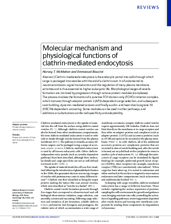 (PDF) Molecular mechanism and physiological functions of clathrin ...