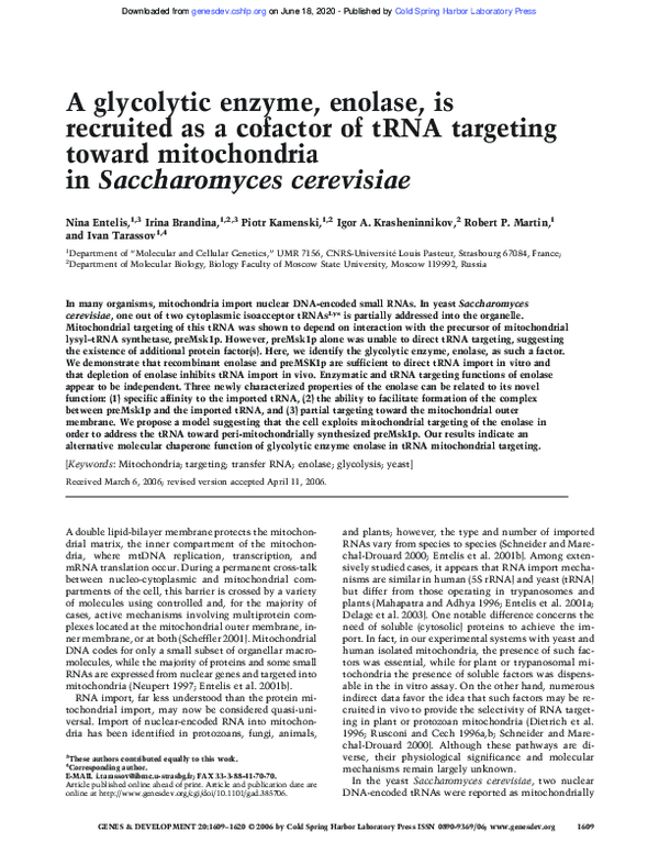 (PDF) A glycolytic enzyme, enolase, is recruited as a cofactor of tRNA ...